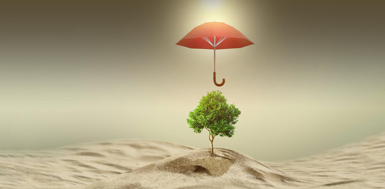 RSPL | Recycling Solutions Pvt. Ltd.| Waste Management